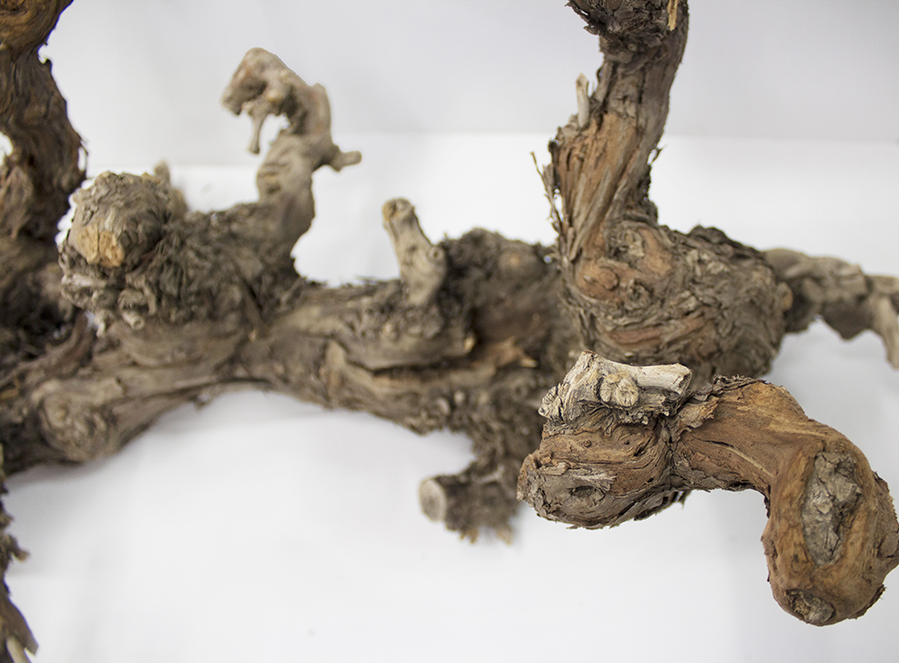 Grapewood 18'', natural and branchy - Décors Véronneau